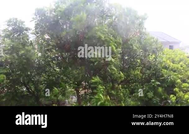 Super Typhoon Yagi Devastating Northern Vietnam causes heavy rain ...