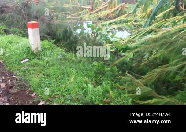 Super Typhoon Yagi Devastating Northern Vietnam causes heavy rain ...