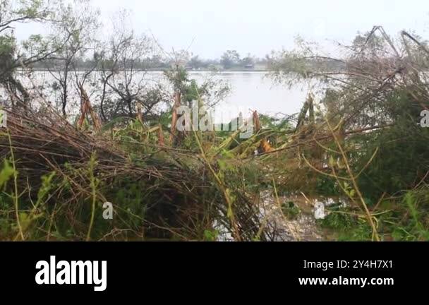 Super Typhoon Yagi Devastating Northern Vietnam causes heavy rain ...