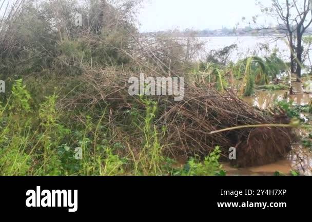 Super Typhoon Yagi Devastating Northern Vietnam causes heavy rain ...