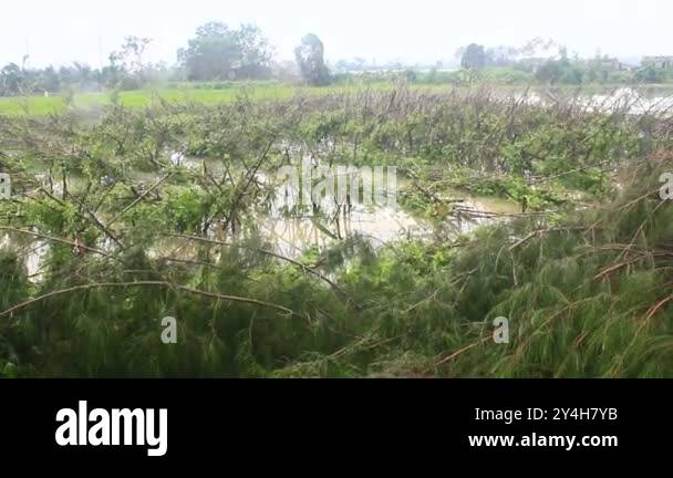 Super Typhoon Yagi Devastating Northern Vietnam causes heavy rain ...