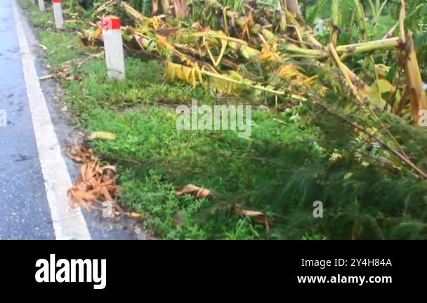 Super Typhoon Yagi Devastating Northern Vietnam causes heavy rain ...