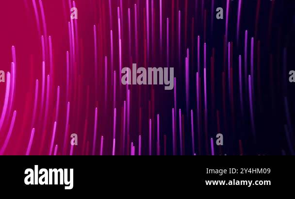 Glowing pink and purple lines animation moving vertically on dark ...