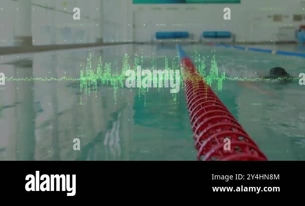 Swimmer statistics Stock Videos & Footage - HD and 4K Video Clips - Alamy