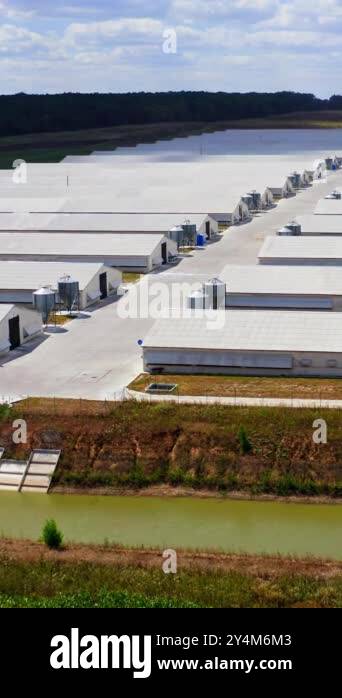 Panoramic view of a modern farm on field. White buildings of a modern ...