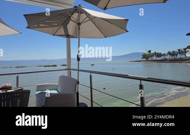 Shaded tables Stock Videos & Footage - HD and 4K Video Clips - Alamy