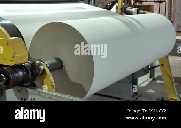 Paper towels toilet Stock Videos & Footage - HD and 4K Video Clips - Alamy