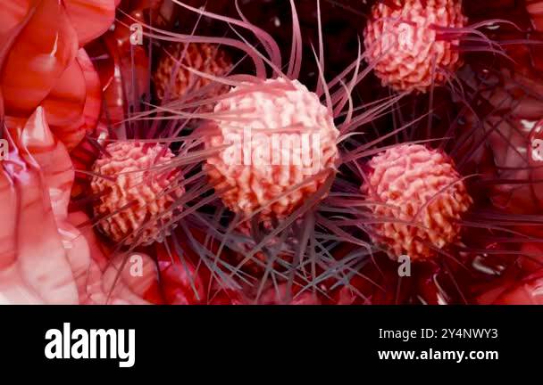 Peritrichous Bacteria with lot of flagellum, harmful bacillus with long ...