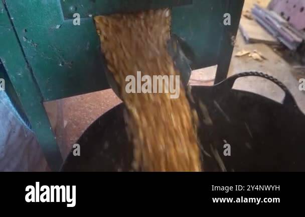 Manual farming techniques Stock Videos & Footage - HD and 4K Video ...