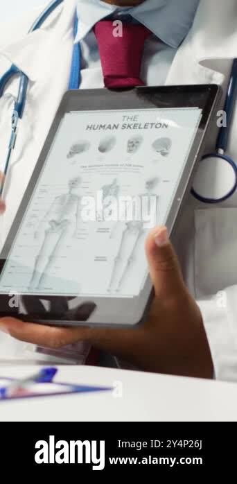 Vertical Video African american specialist showing the human skeleton ...