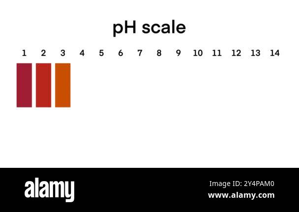 Ph scale diagram, Ph scale graphic, Acid to base, pH scale Infographic ...