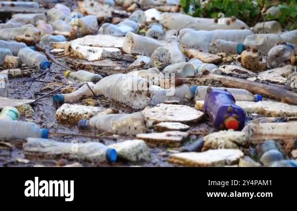 impactful image of plastic waste pollution in nature, featuring ...