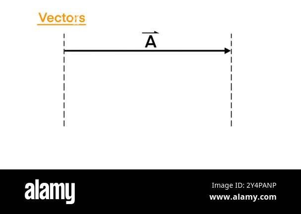 basics of vectors in trigonometry,Vectors, Maths are objects which have ...