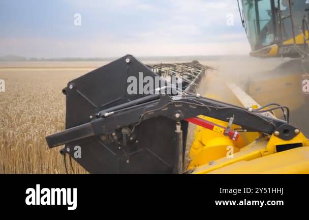 Close up knife of combine spinning and cutting ears of wheat. Harvester ...