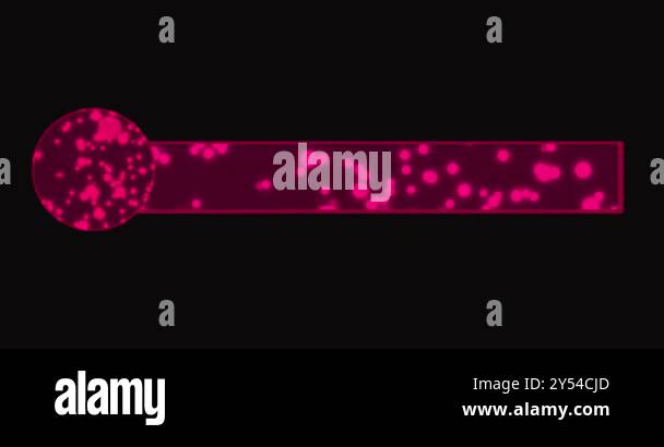 4K cool animated pink colors shades lower third in an alpha channel ...