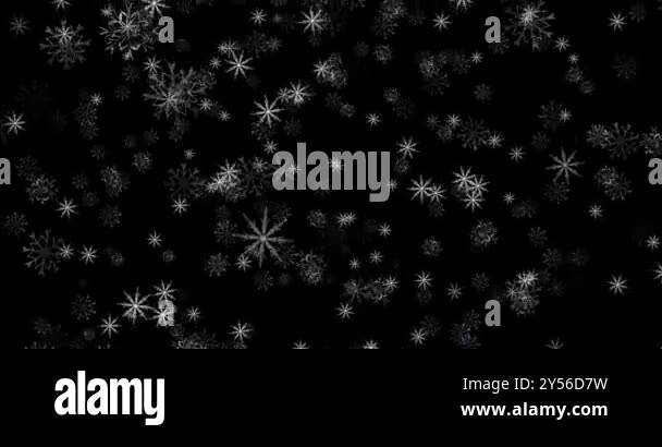 Animated snowflakes falling on blak background 4k animation footage ...