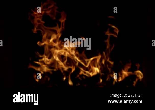 Fire flame texture. The fire, burning flame. Large burning flaming fire ...