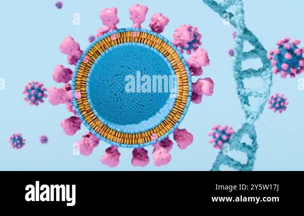Lipid molecule structure Stock Videos & Footage - HD and 4K Video Clips ...