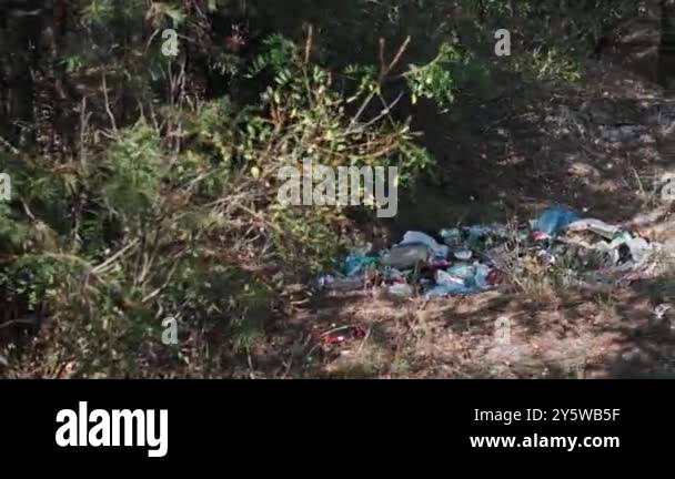 Various garbage scattered on the ground among trees and bushes in a ...