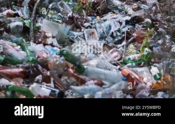 Plastic and glass bottles, bags, and food containers litter the forest ...