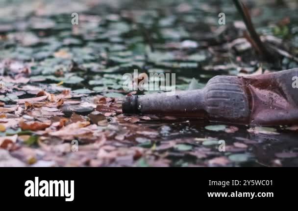 A plastic bottle lies discarded in a swamp, depicting the environmental ...