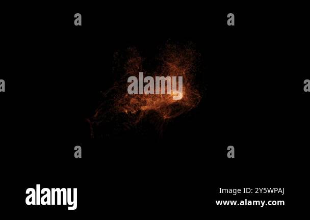 Realistic floating embers particles on black screen background.You can ...
