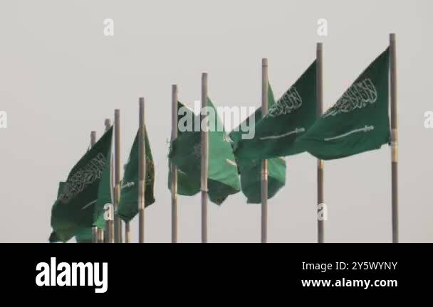 Plenty of National flags of Saudi Arabia . In this stunning video ...