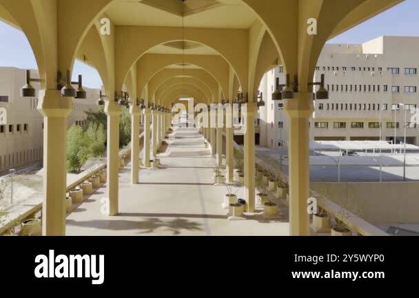 Drone view of King Saud University. Flying between the hulls. King Saud ...