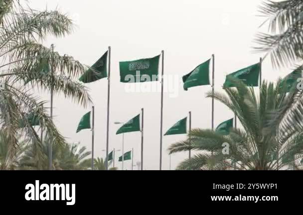 Plenty of National flags of Saudi Arabia . In this stunning video ...