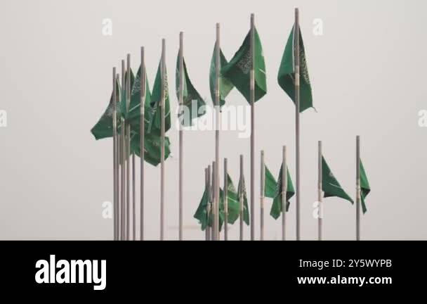 Plenty of National flags of Saudi Arabia . In this stunning video ...