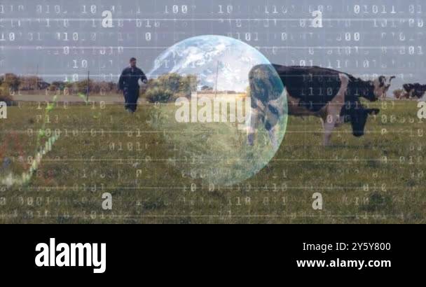 Binary code and financial data animation over farmer and cows in field ...