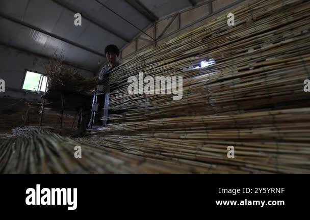 Reed processing Stock Videos & Footage - HD and 4K Video Clips - Alamy