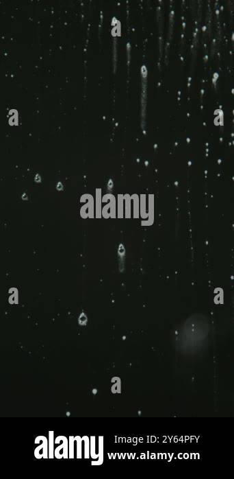 Vertical shot raindrops on Stock Videos & Footage - HD and 4K Video ...