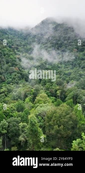 Global Warming and the Environmental Toll of Agricultural Deforestation ...