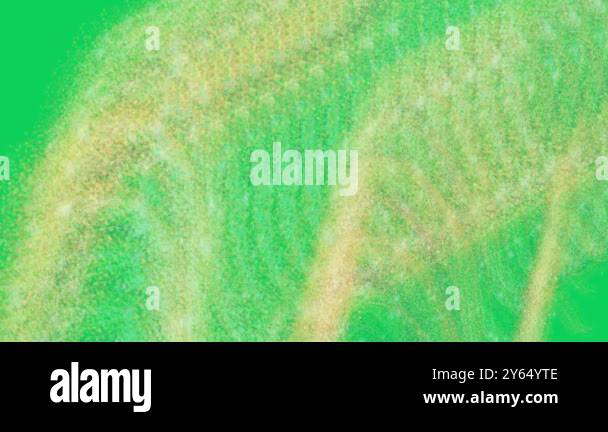 Glitter sparkle animated green screen, 3D Animation, Ultra High ...