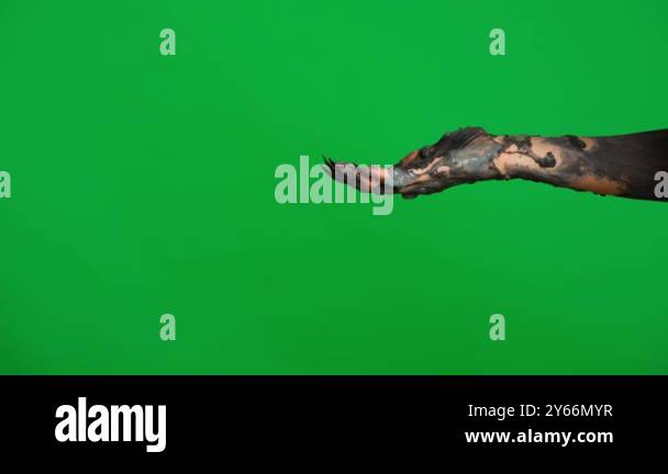 Scary hand showing gestures in studio. Creepy halloween monster hand in ...