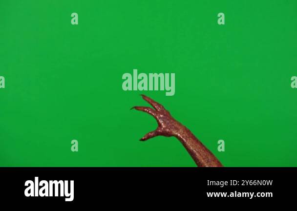 Scary hand showing gestures in studio. Creepy halloween monster hand in ...