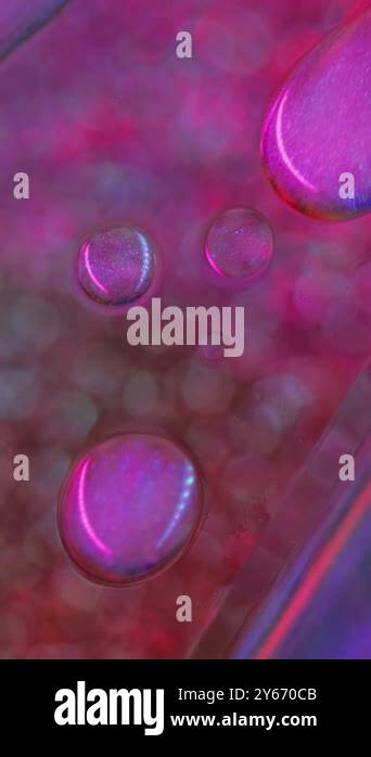 Vertical video. Glitter fluid droplets. Oil drip. Defocused neon pink ...