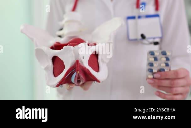 Bladder control system Stock Videos & Footage - HD and 4K Video Clips ...