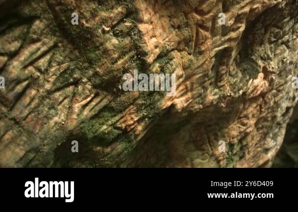 Various Historical Carvings of Letters and Symbols on the Old Cave Wall ...