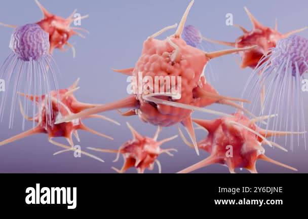 body immune response viral infection by releasing Cytokines, Cancer ...