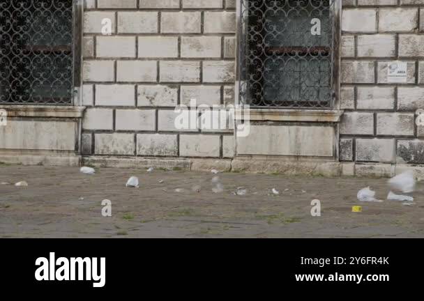 Historic litter Stock Videos & Footage - HD and 4K Video Clips - Alamy