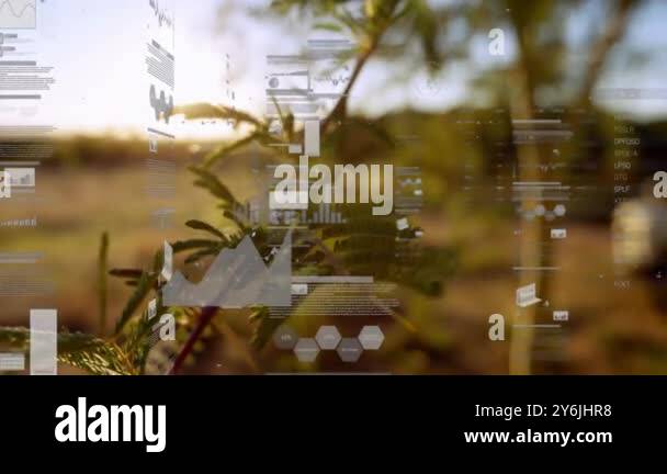 Charts and graphs animation over nature background with trees and ...