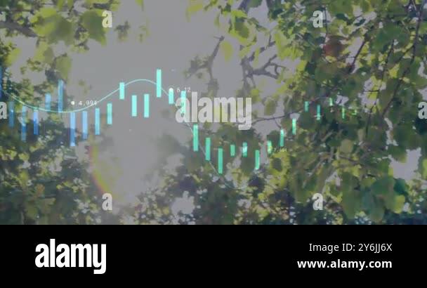 Analytics growth chart green Stock Videos & Footage - HD and 4K Video ...