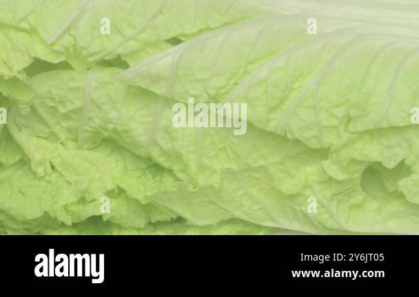 Raw green cabbage texture Stock Videos & Footage - HD and 4K Video ...