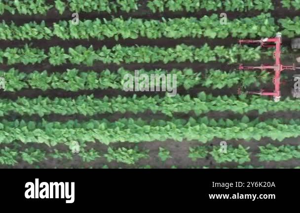 Above top view, dolly move over agricultural farm field, farmer in ...