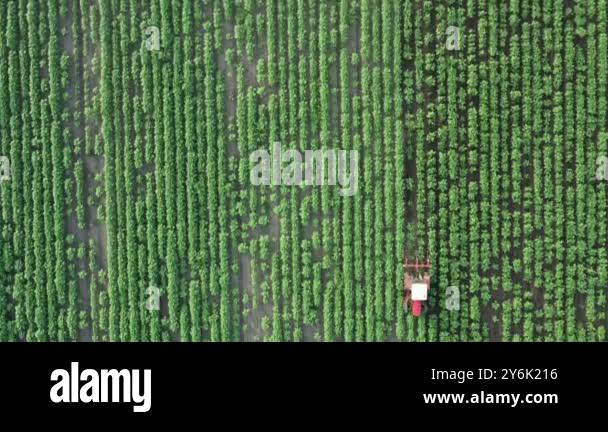 Above top view, dolly move over agricultural farm field, farmer in ...
