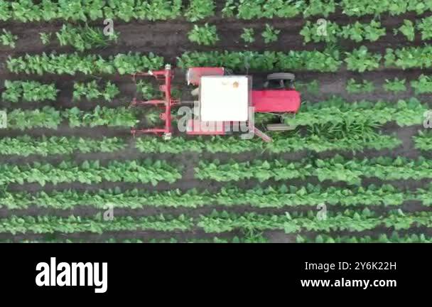 Above top view, dolly move over agricultural farm field, farmer in ...