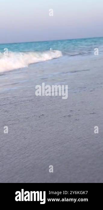Serene coastline waves with calming rhythm lapping sandy beach ...