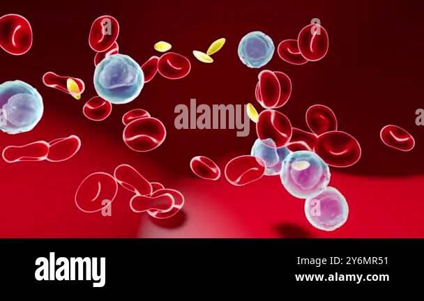 3d animation of the lateral movement of blood components. Red blood ...
